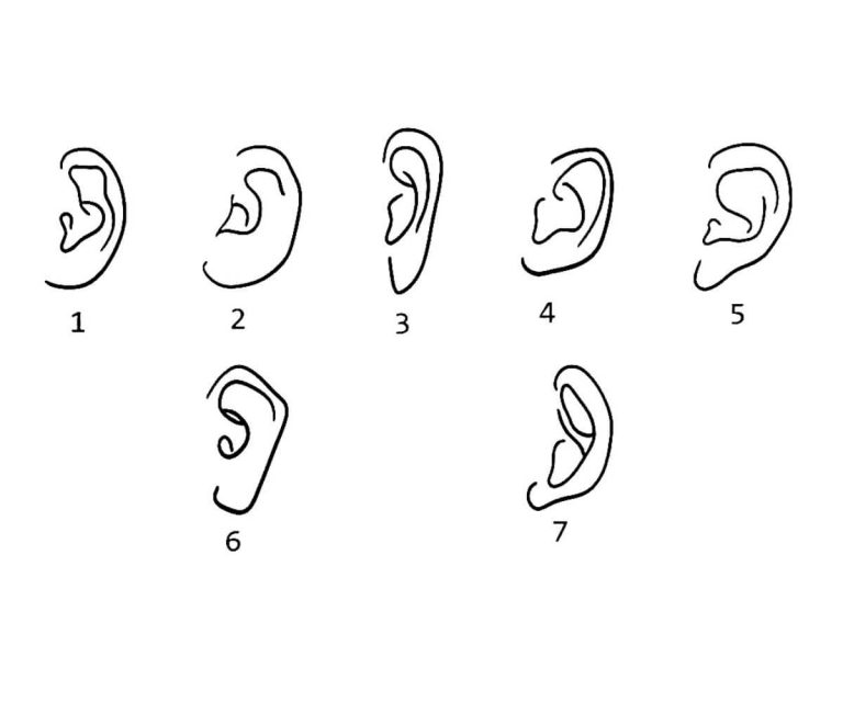 Diga qual o formato de sua orelha e eu direi o que isso influencia na ...
