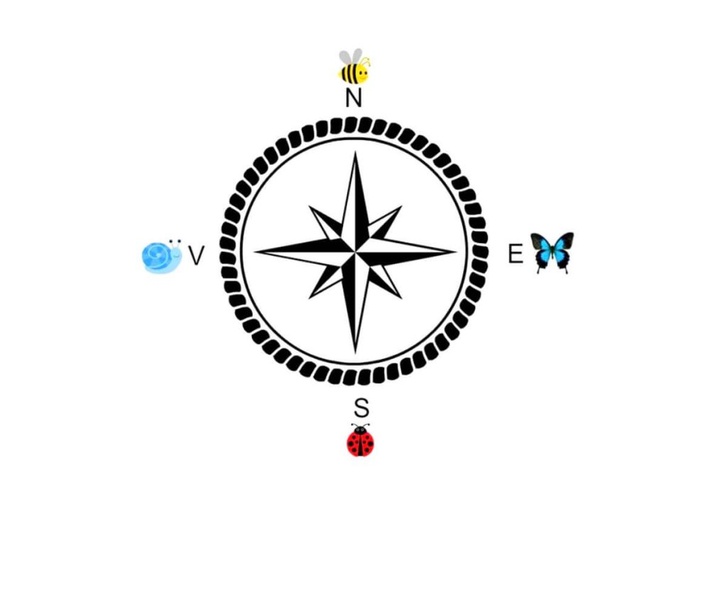 Escolha um dos pontos cardeais da rosa dos ventos, ela lhe dirá tudo ...