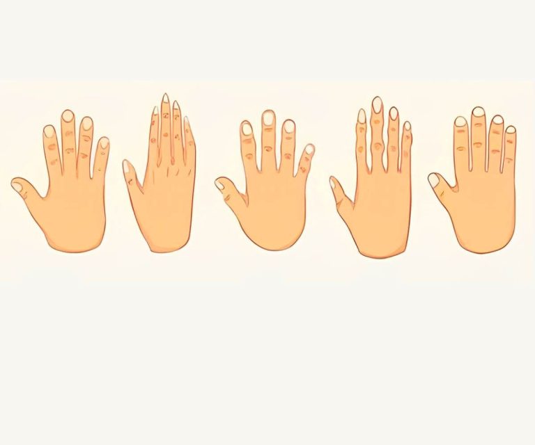 Existem 5 tipos de mãos, qual é a sua? Veja o que o formato da sua mão ...